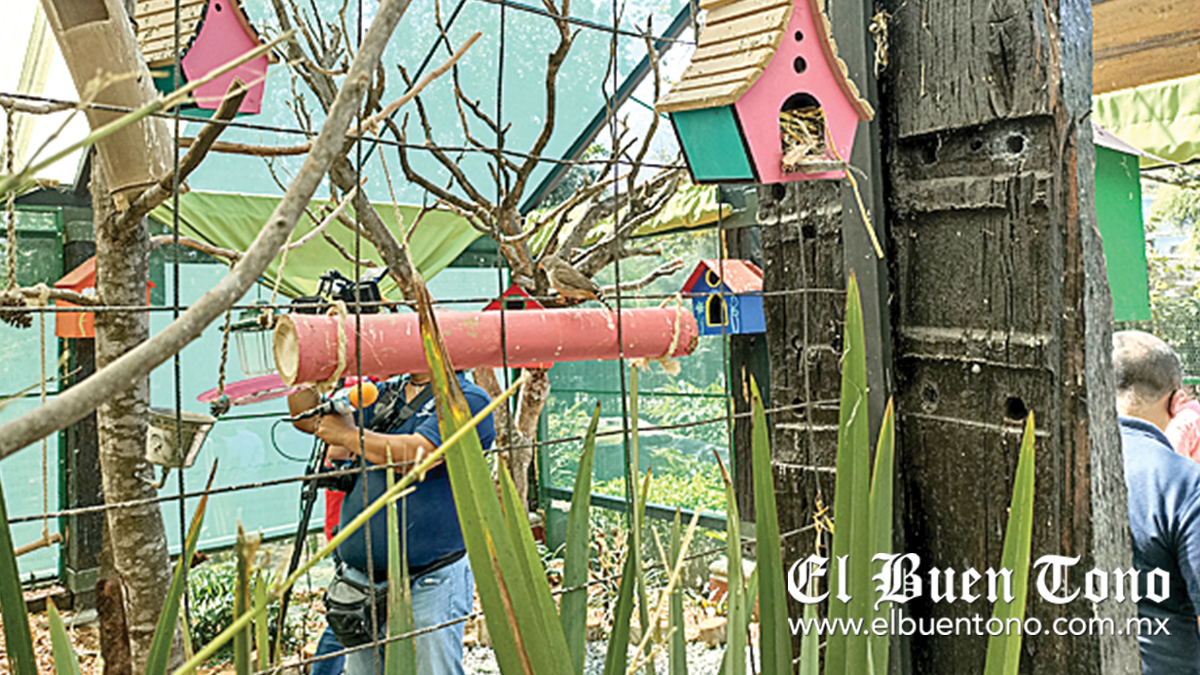 Renuevan Jardín Botánico BiOri - El Buen Tono