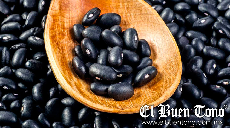 Frijol, joya de nuestro país, México tiene 70 especies - El Buen Tono