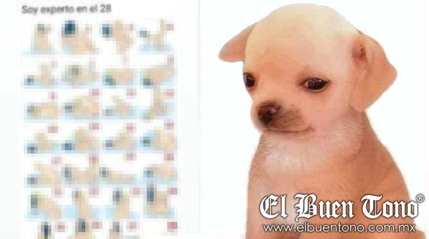 ¿Apareció contenido para adultos después de compartir un meme en ...