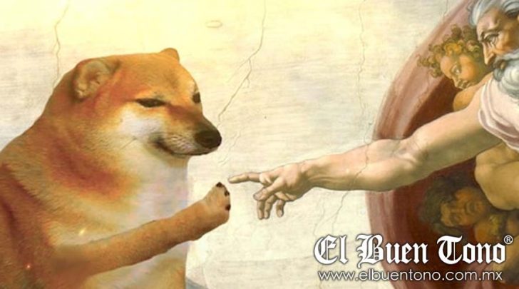 Estas son 10 curiosidades sobre Cheems, el perro viral, tras su triste ...