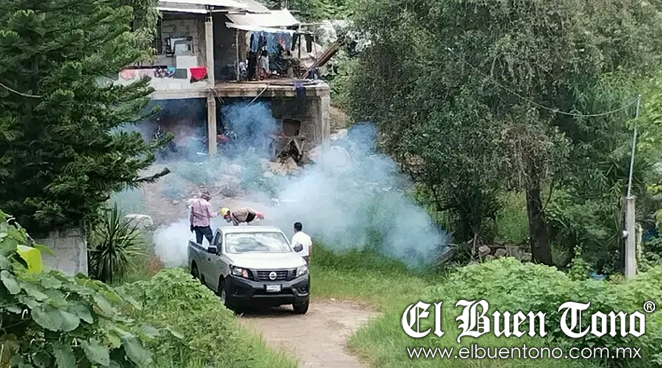 Esconde Secretaría De Salud Muertes Por Dengue En Veracruz El Buen Tono