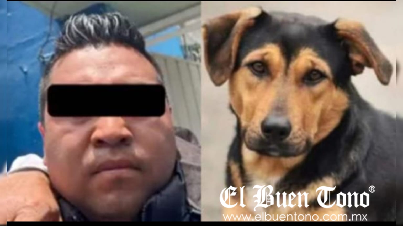 Nueva Orden De Aprehensión Contra Agresor De Scooby En Edomex El