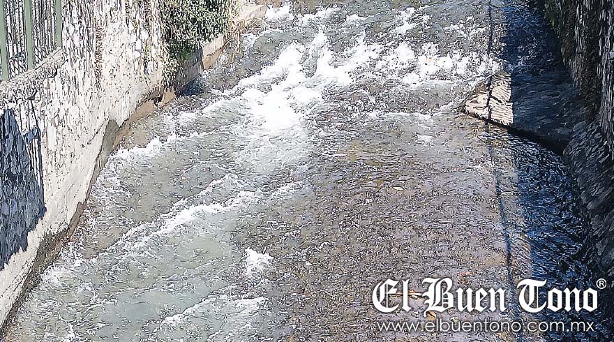Concluirá el año en deterioro ambiental, omisión en tala inmoderada ...