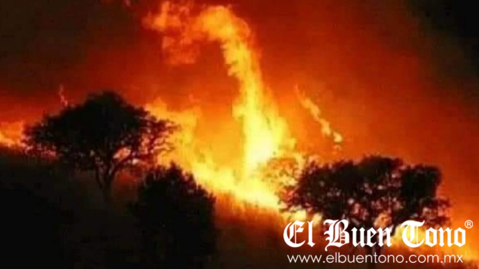 Aumentan A 23 Los Incendios Forestales Activos En Veracruz El Buen Tono