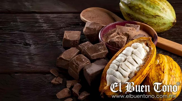 Descubre los secretos del cacao: Tradición y beneficios en México