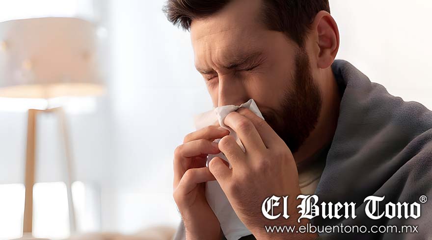 Estas son las diferencias entre el agua salina y el agua de mar para ...