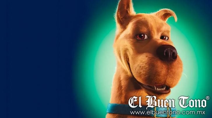 Estos son los 10 perros más famosos de la pantalla - El Buen Tono