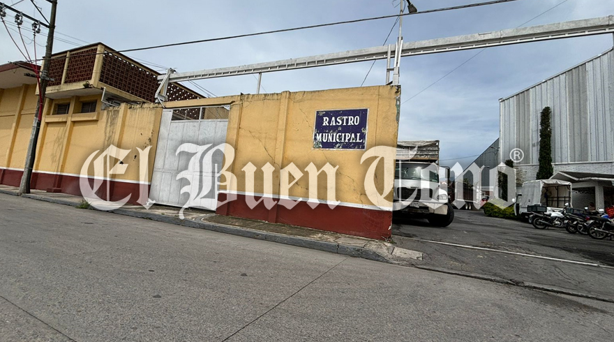 Denuncian crueldad animal en el traslado forzado de un toro al rastro ...