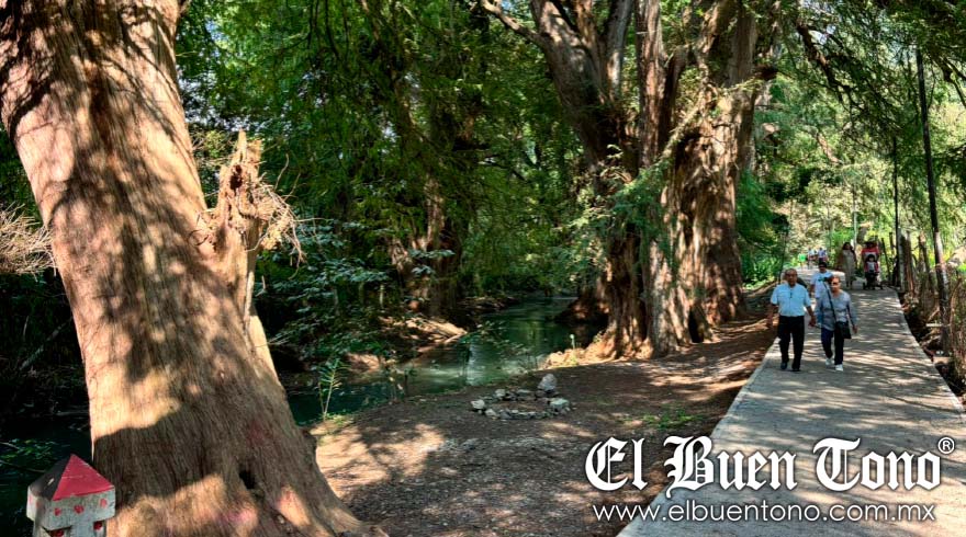 Inauguran parque en los Ahuehuetes con múltiples deficiencias - El Buen ...