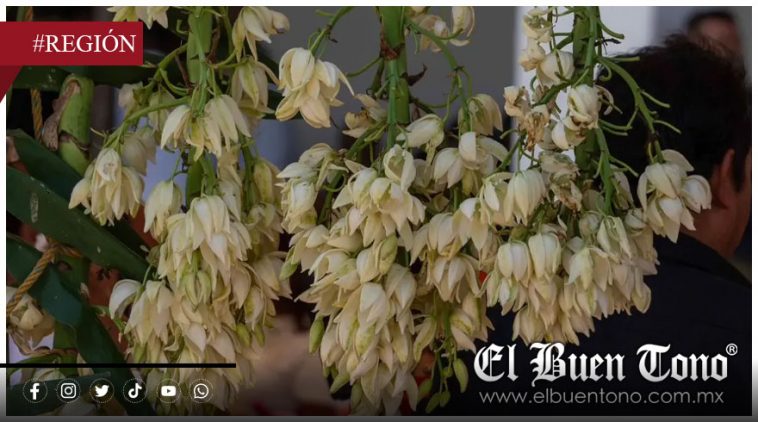 La flor de izote: Tradición y sabor, legado de México